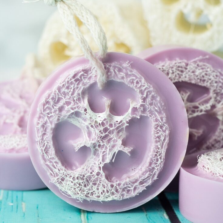 Easy Loofah Soap Recipe