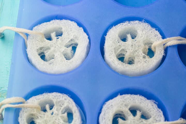 Easy Loofah Soap Recipe